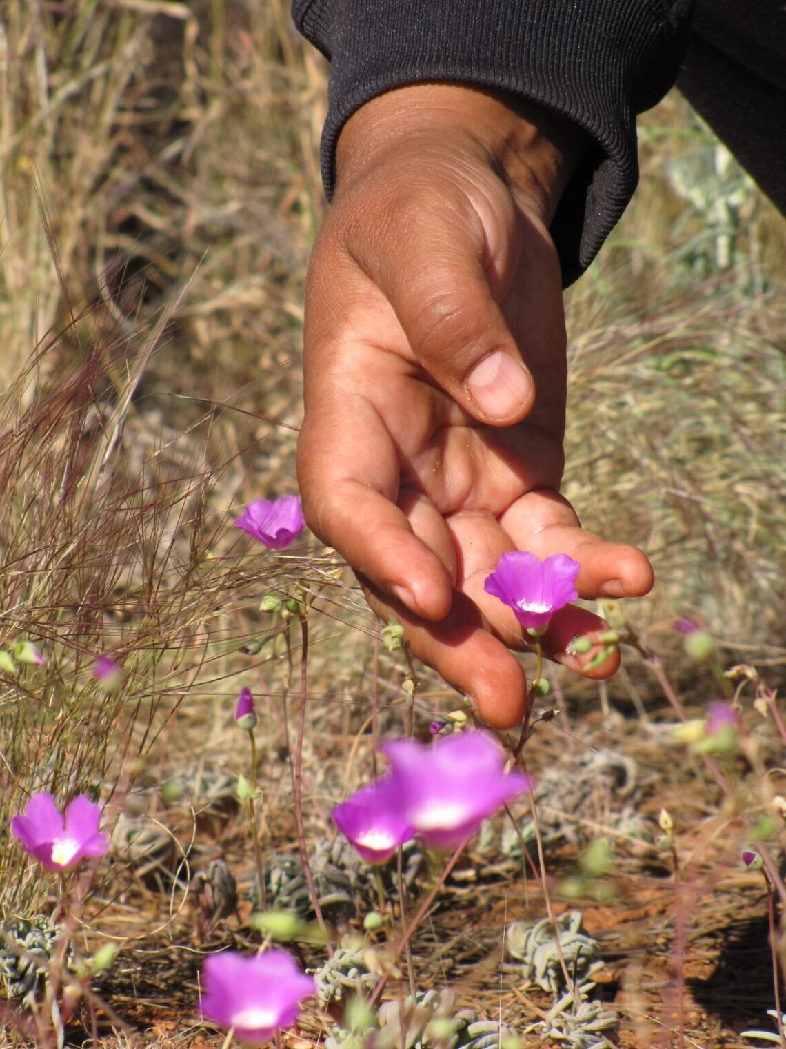 Trent Jansen - Collaboration and connection | IndesignLive