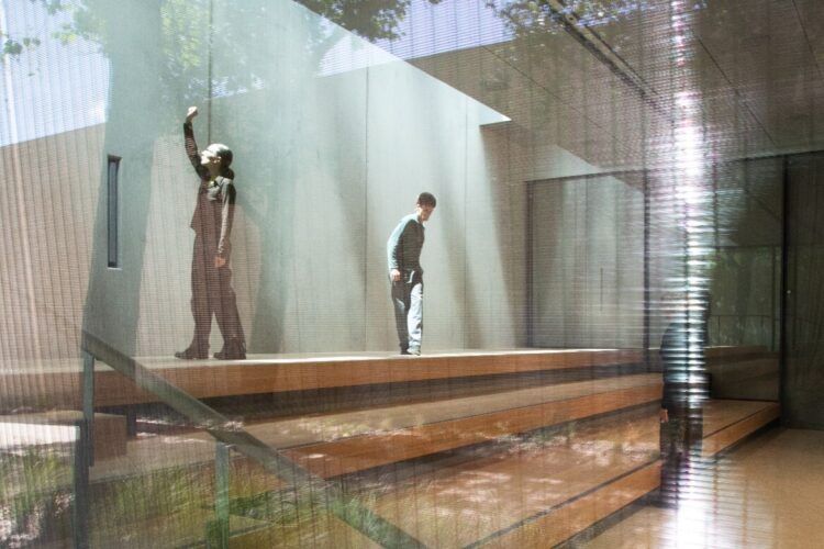 Rose Nolan - TarraWarra Museum of Art | Indesignlive