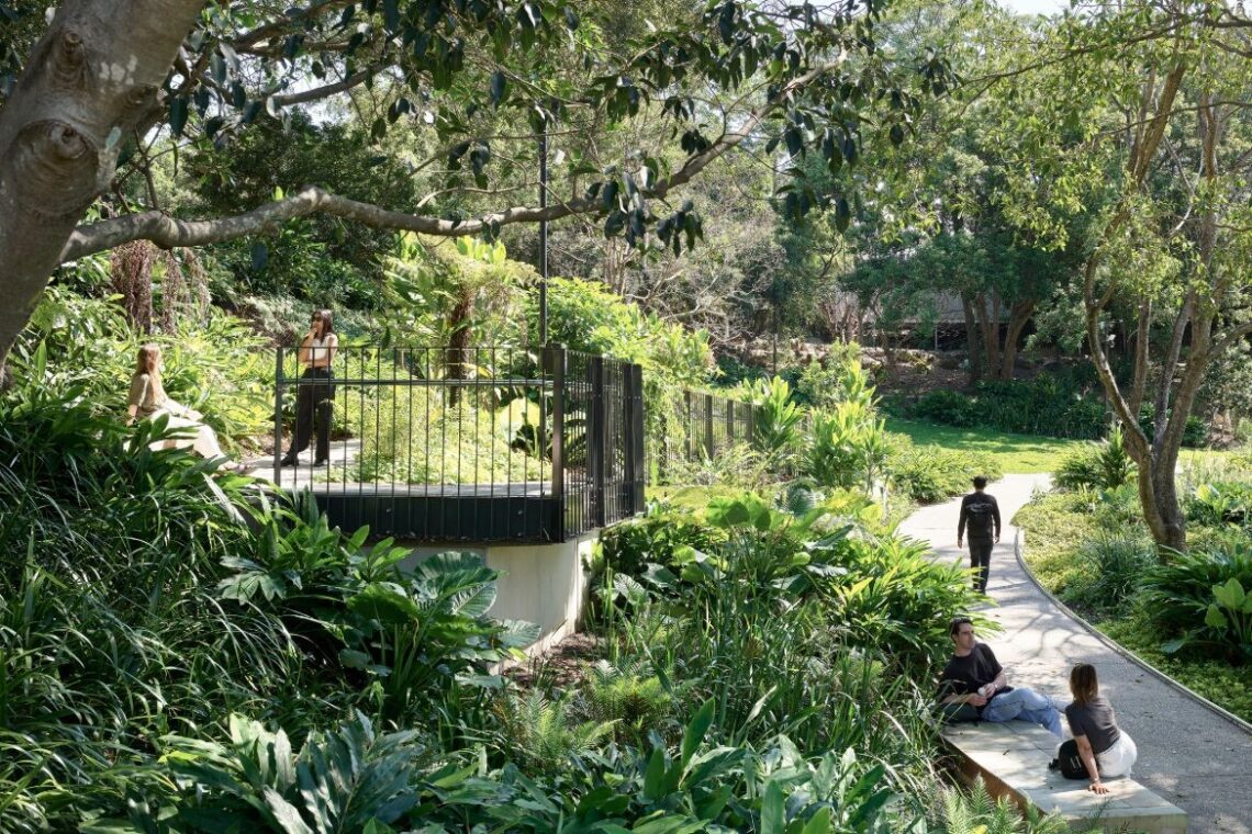 AILA Awards 2025