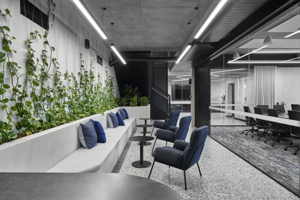 Texco Construction's Melbourne offices by Cera Stribley | IndesignLive