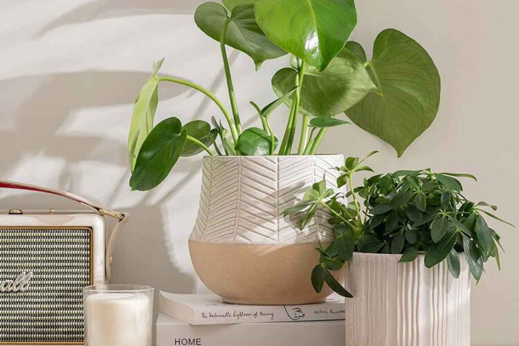 Indoor pots, boxes and planters for every design style | Indesign Live ...