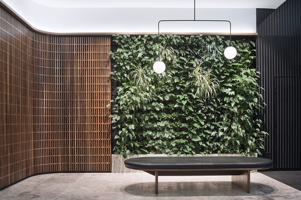 Todd Hammond takes stock, four years on from going solo | IndesignLive