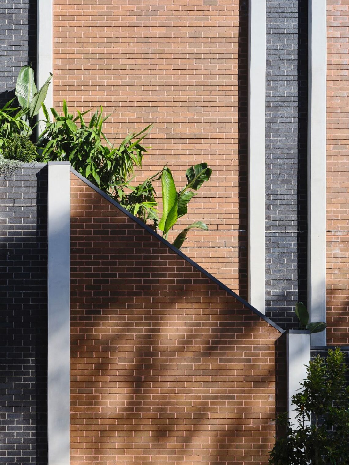 Cox Architecture - On Hills Central | IndesignLive
