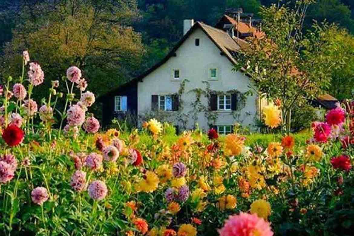 Cottagecore in review: a simple aesthetic for a complicated life ...