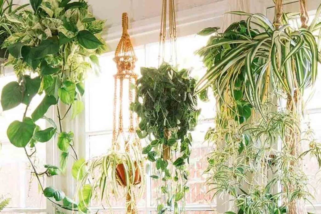 The best indoor planters for your interior garden | Indesign Live ...