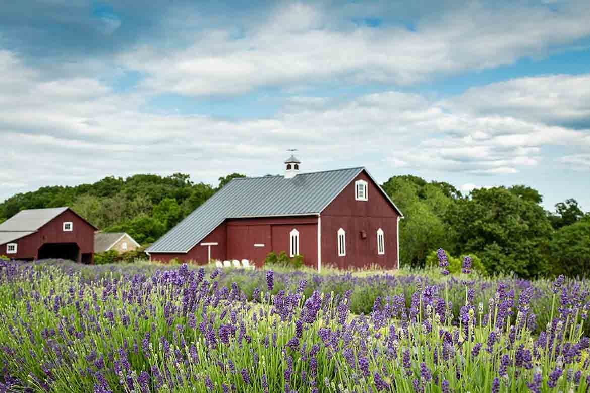 Cottagecore in review: a simple aesthetic for a complicated life ...