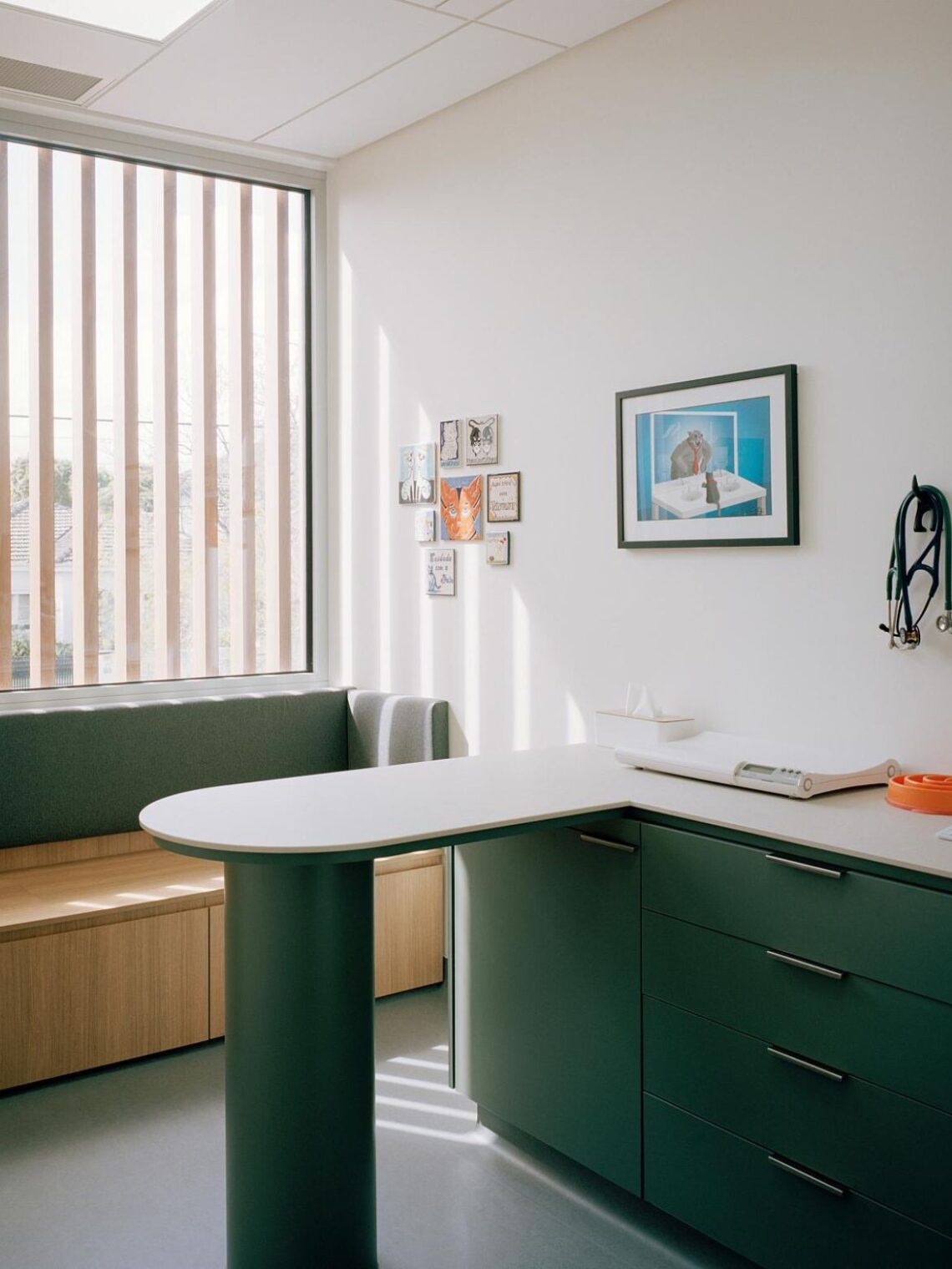 Gardiner Architects - The Cat Clinic | IndesignLive
