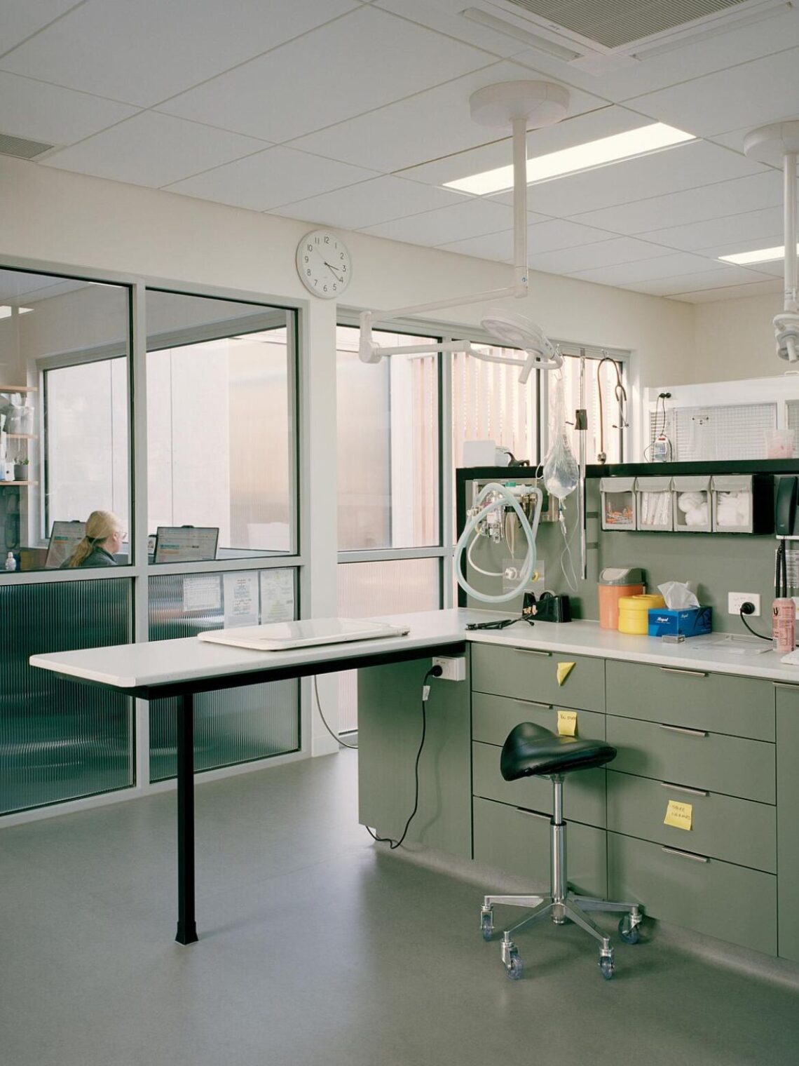 Gardiner Architects - The Cat Clinic | IndesignLive
