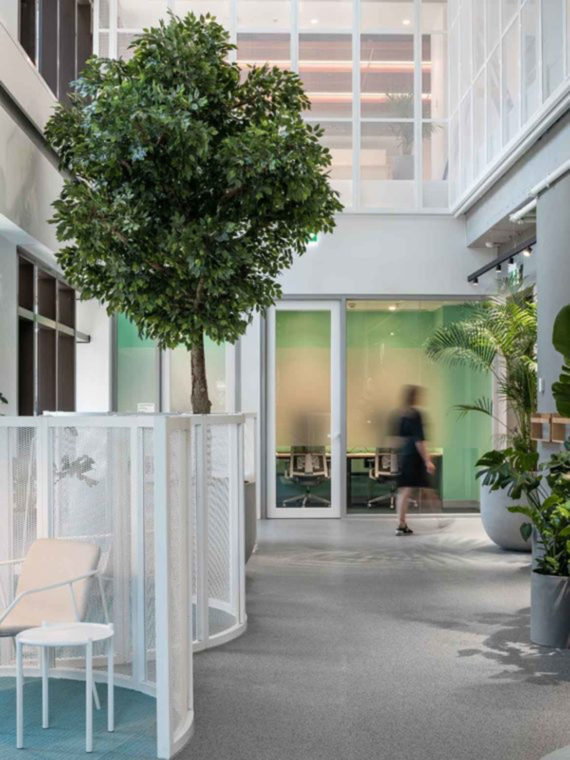 6 wintergardens that bring greenery indoors | IndesignLive
