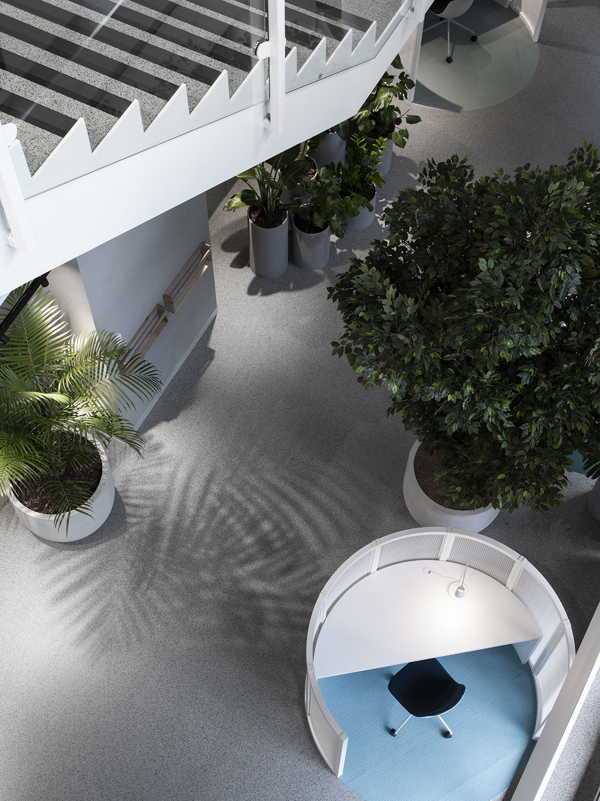 6 wintergardens that bring greenery indoors | IndesignLive