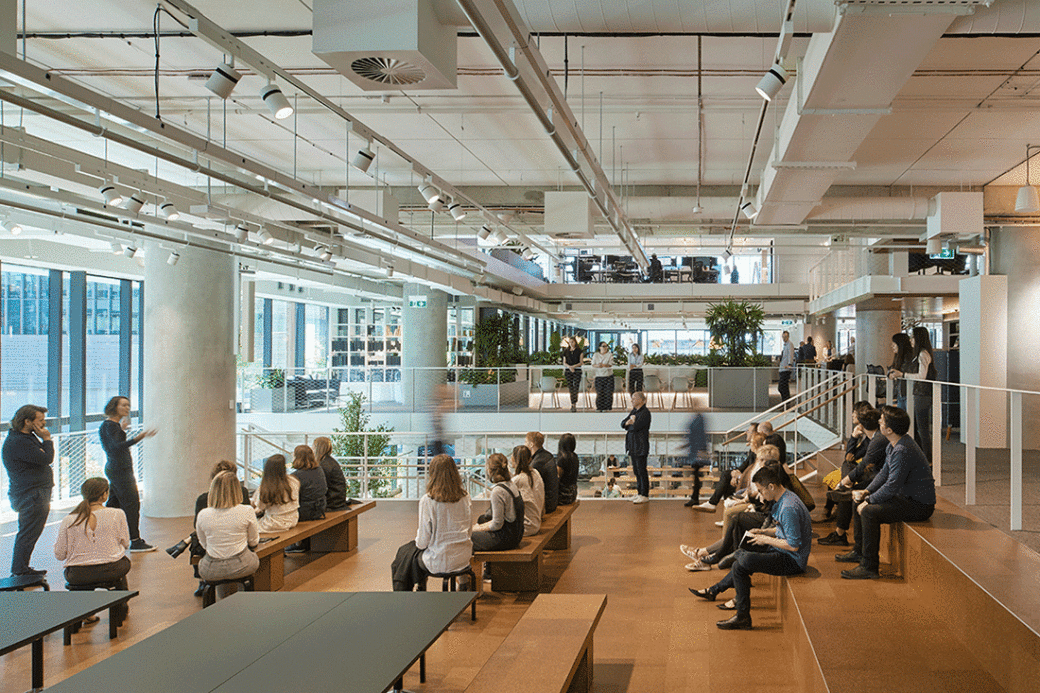 Hassel | IndesignLive