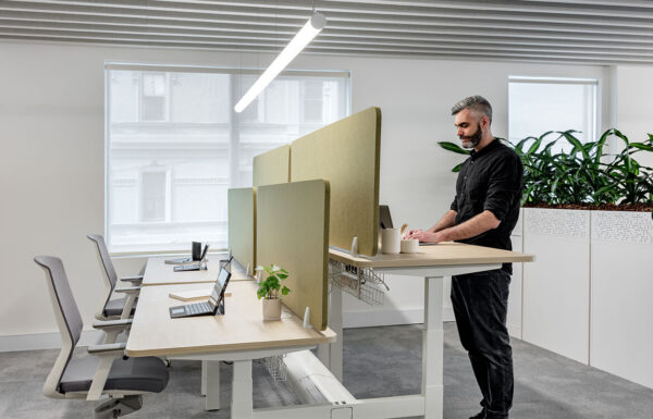 Workstations screens - Autex Acoustics | IndesignLive
