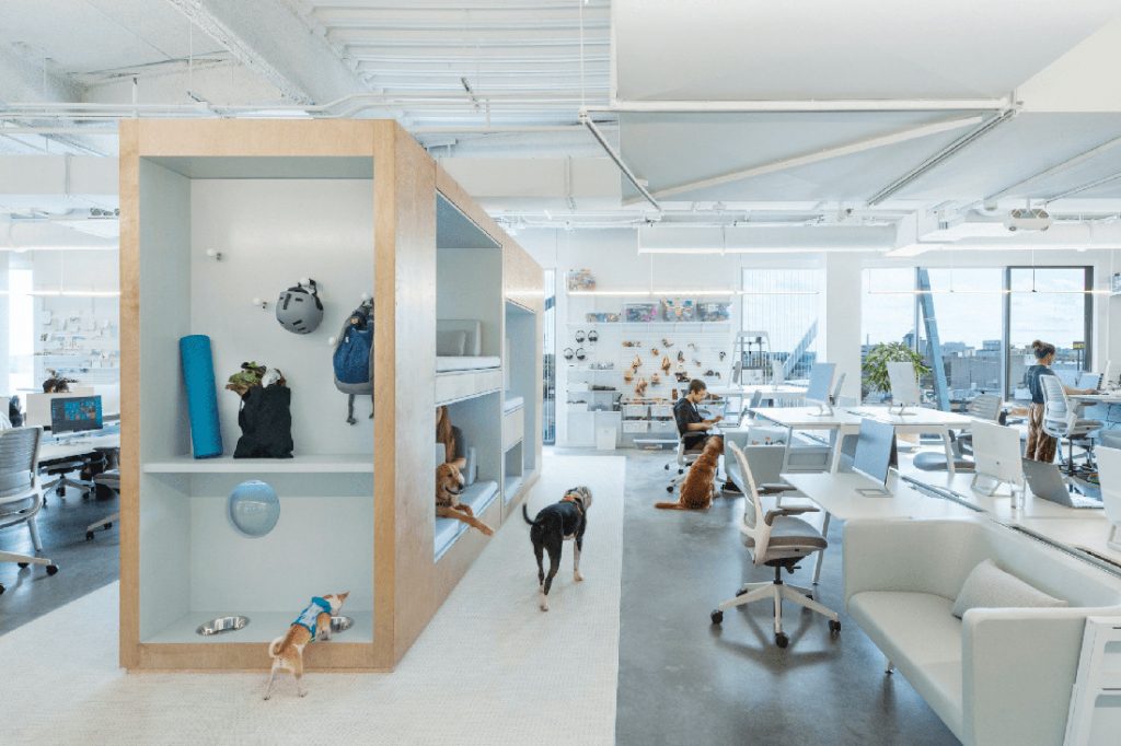 10 pet friendly workplaces that deserve design kudos | IndesignLive