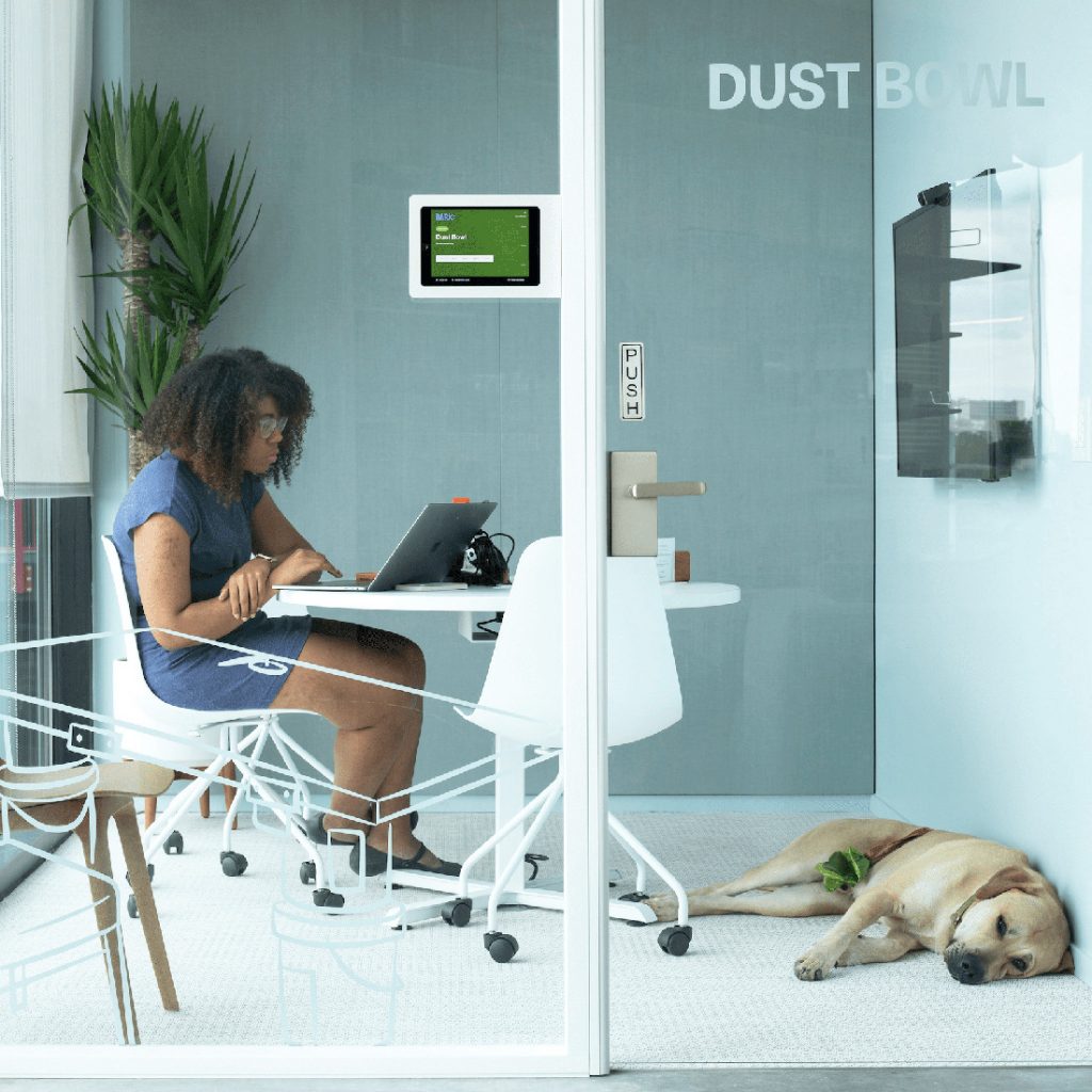 10 pet friendly workplaces that deserve design kudos | IndesignLive