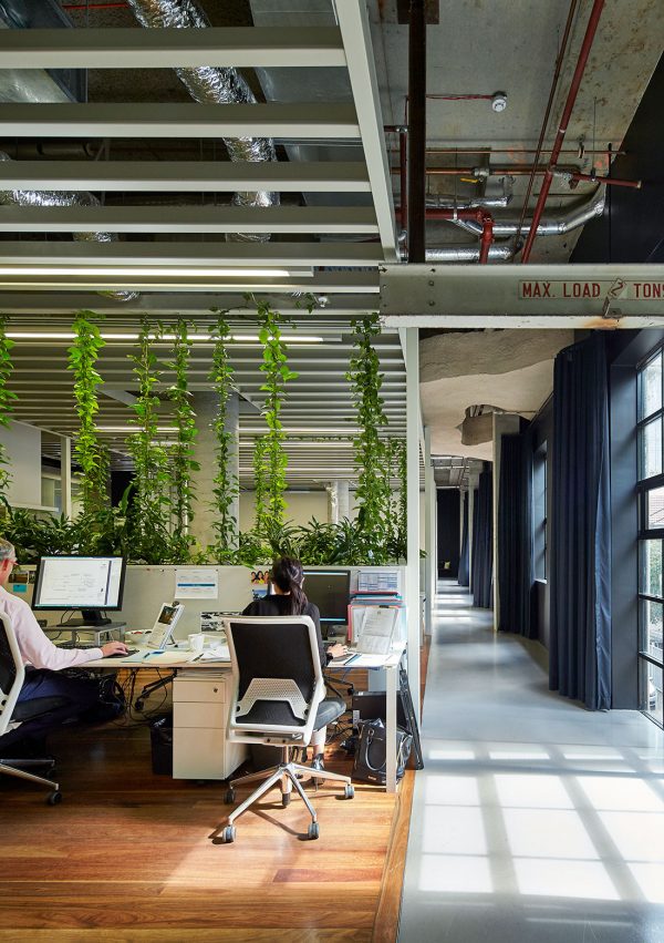 10 inspiring offices designed for activity based working | IndesignLive