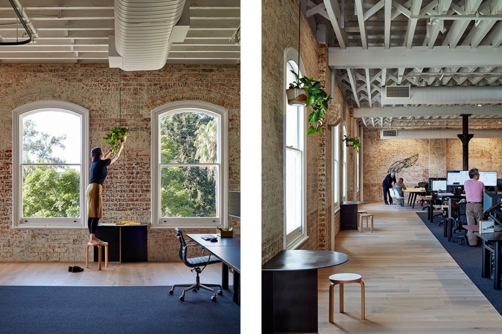 Peeling back the layers: Cox Brisbane reveals new studio | IndesignLive