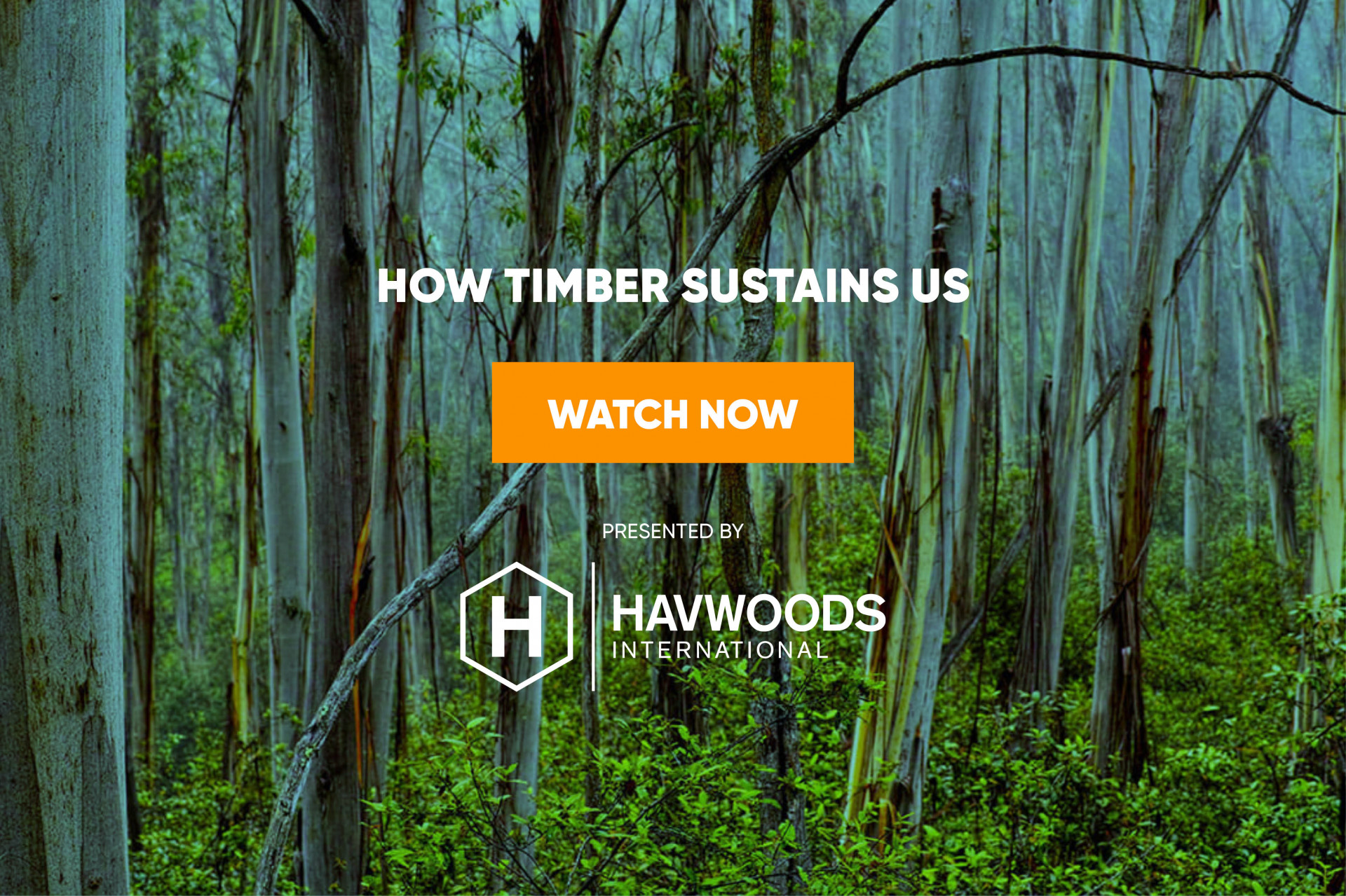 How Timber Sustains Us | IndesignLive