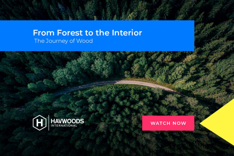 From forest to the interior: The journey of wood | IndesignLive