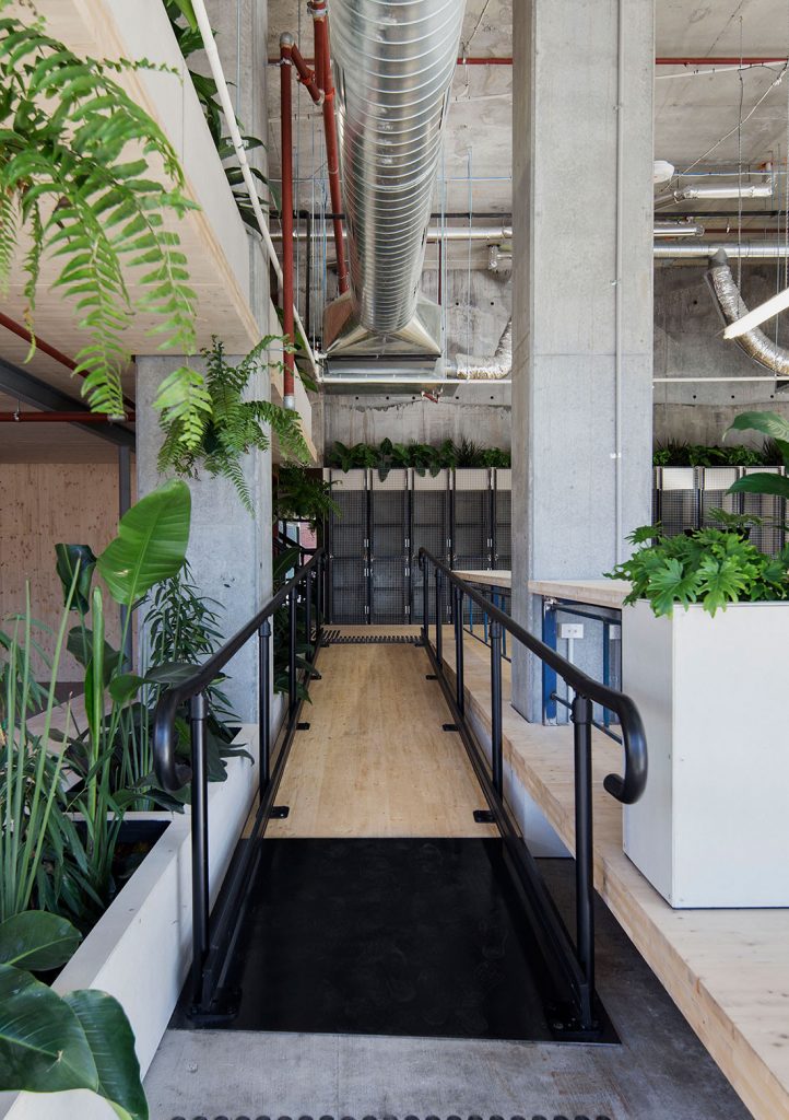 10 pet friendly workplaces that deserve design kudos | IndesignLive