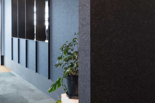 Cube - Autex Acoustics | IndesignLive