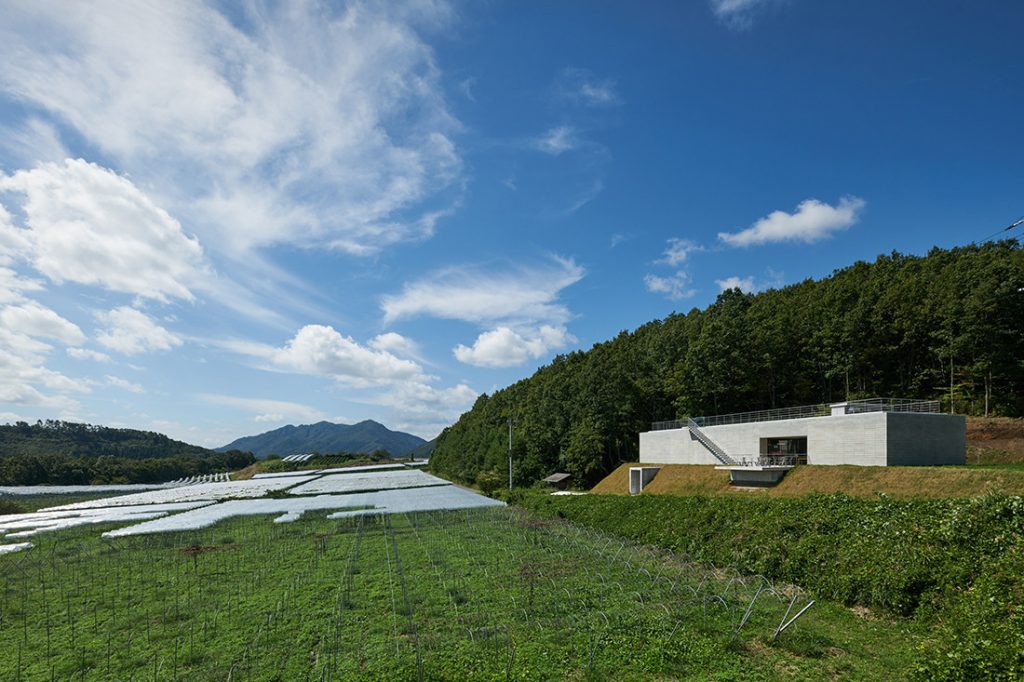 Wonderwall's designs Japanese winery: Domaine Tetta | IndesignLive