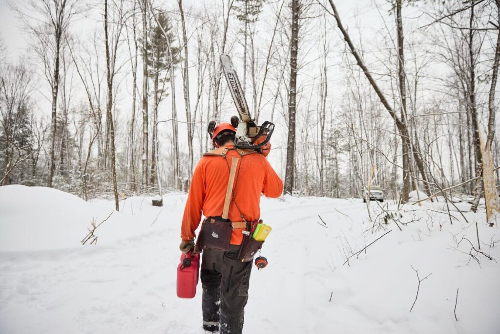 Forested Future documentary | Indesignlive