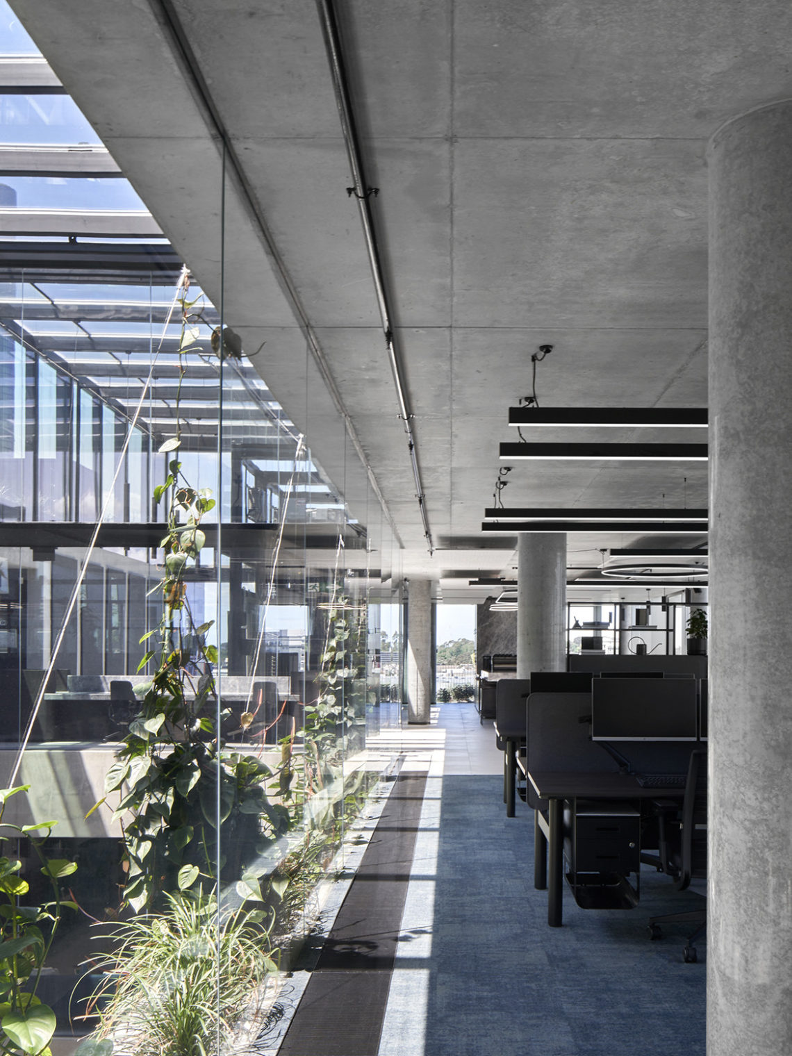 Top 5 Workplace Projects 2021 | IndesignLive