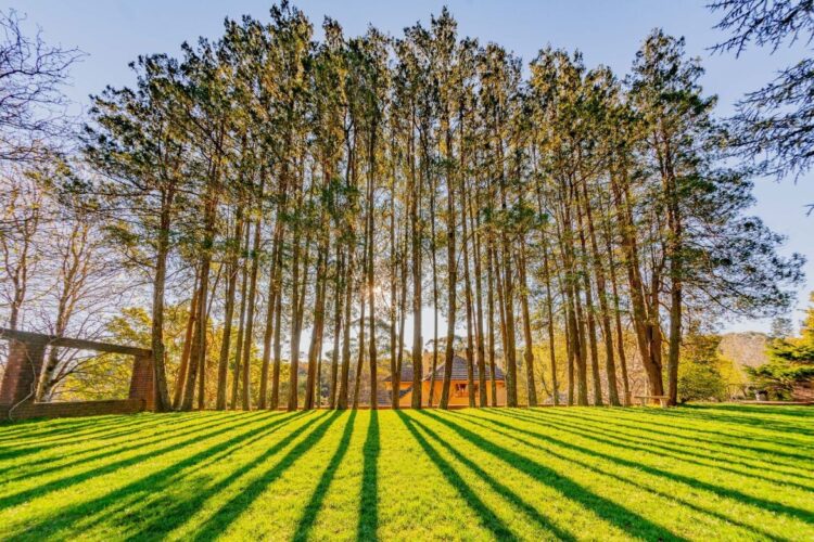 PERIPHERAL - Regional Architecture Association | IndesignLive