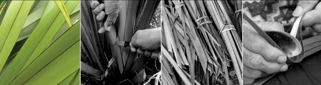 Arnya Karaitiana - Pā Harakeke Collection for Milliken