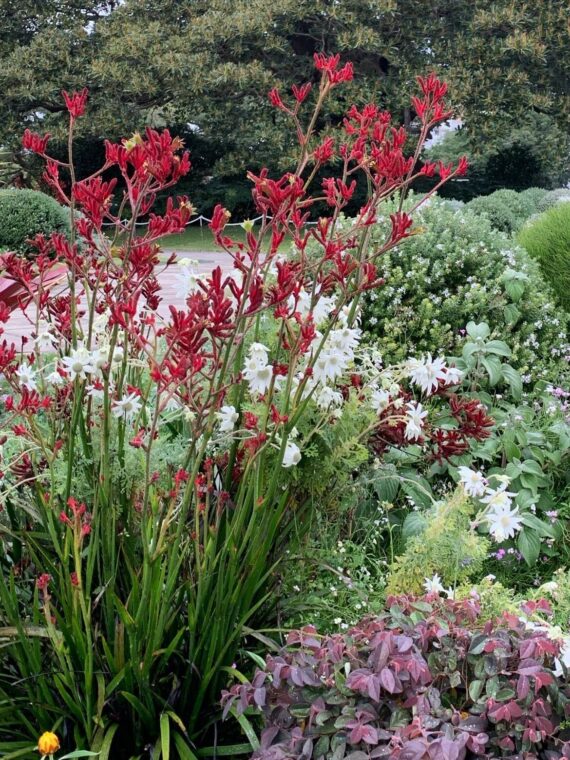 5 Landscape Architecture leaders | IndesignLive