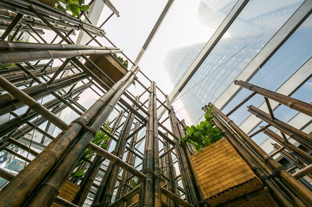 Green Ladder | IndesignLive