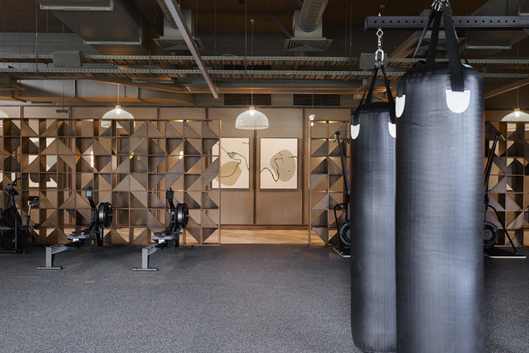 6 outstanding gym designs | IndesignLive