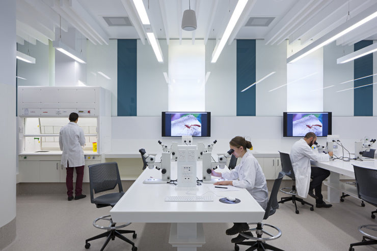 KLIK Systems offers felxible lighting with LABline 2 | IndesignLive