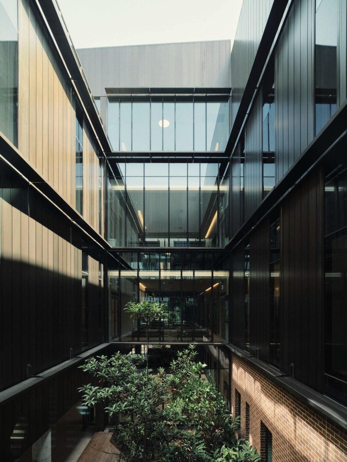 Hassell - Ipswich Hospital Mental Health Unit | IndesignLive