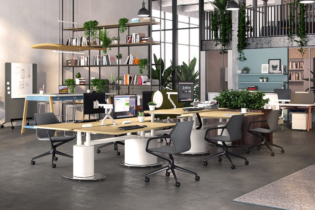 Sakuru by Haworth and Gavin Harris | IndesignLive