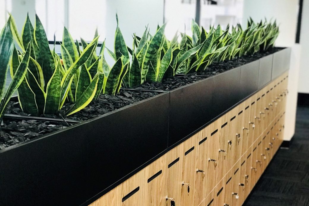 Planter - Infinity Commercial Furniture | IndesignLive