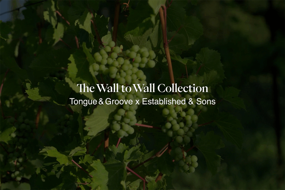 wall to wall collection | IndesignLive