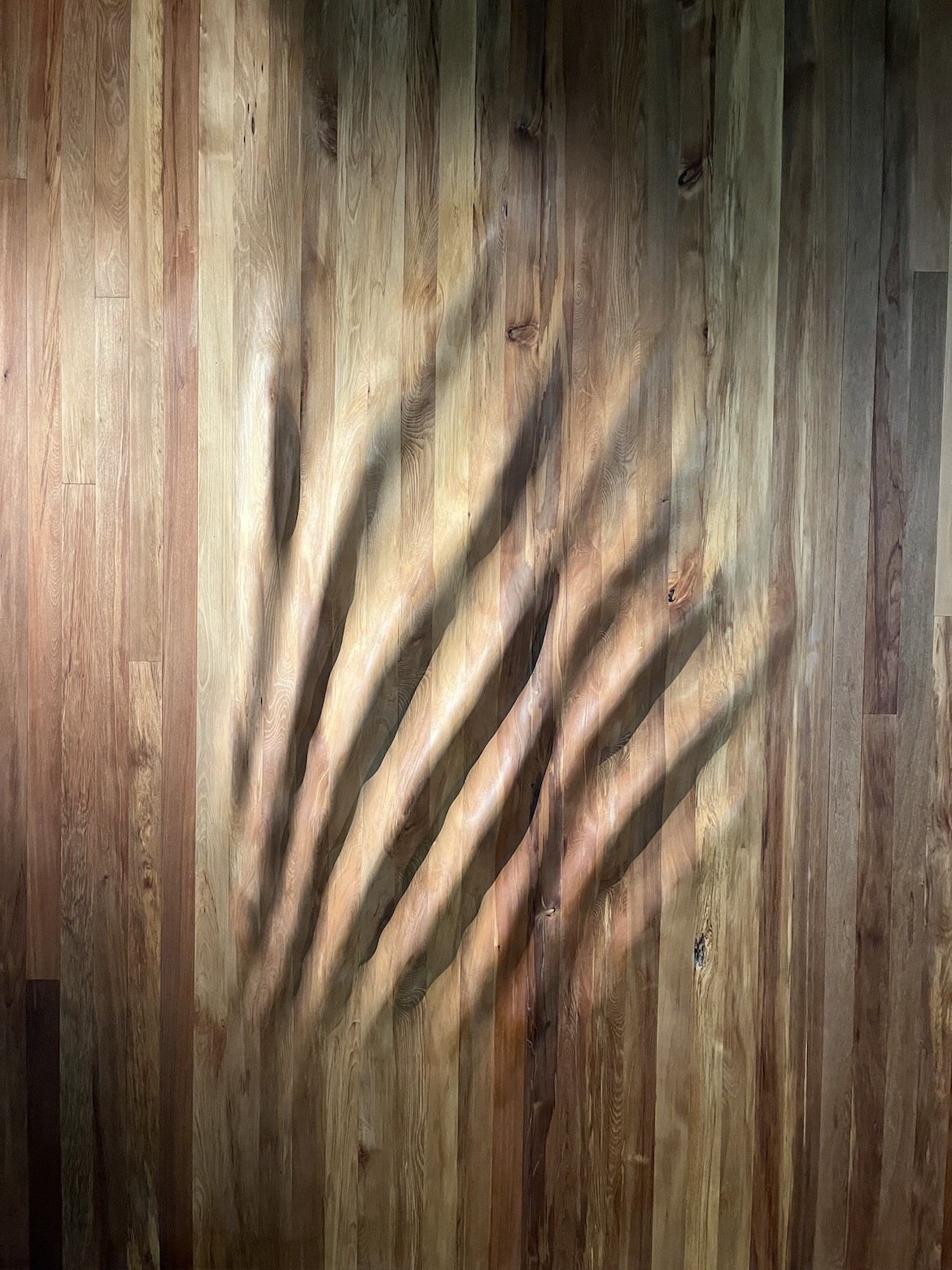 Whare Timu leads by example | IndesignLive