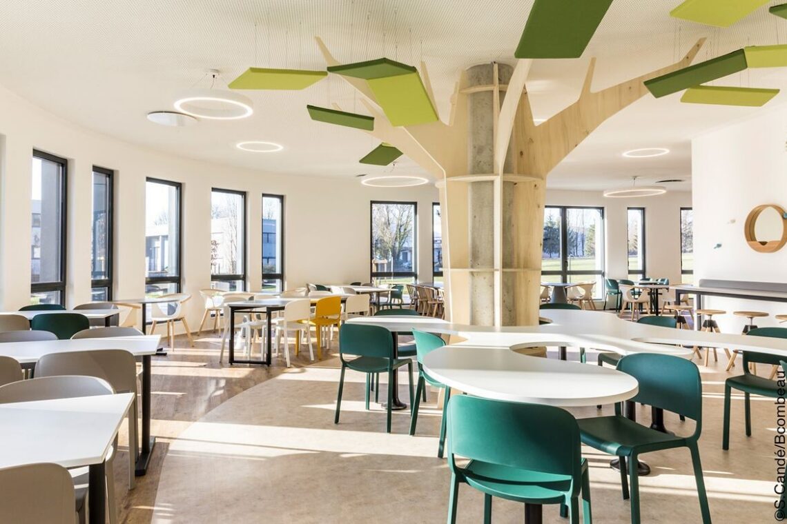 Pedrali Dome chair marks 10 years of design