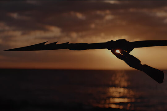 Powerhouse - Photography Commissions | IndesignLive