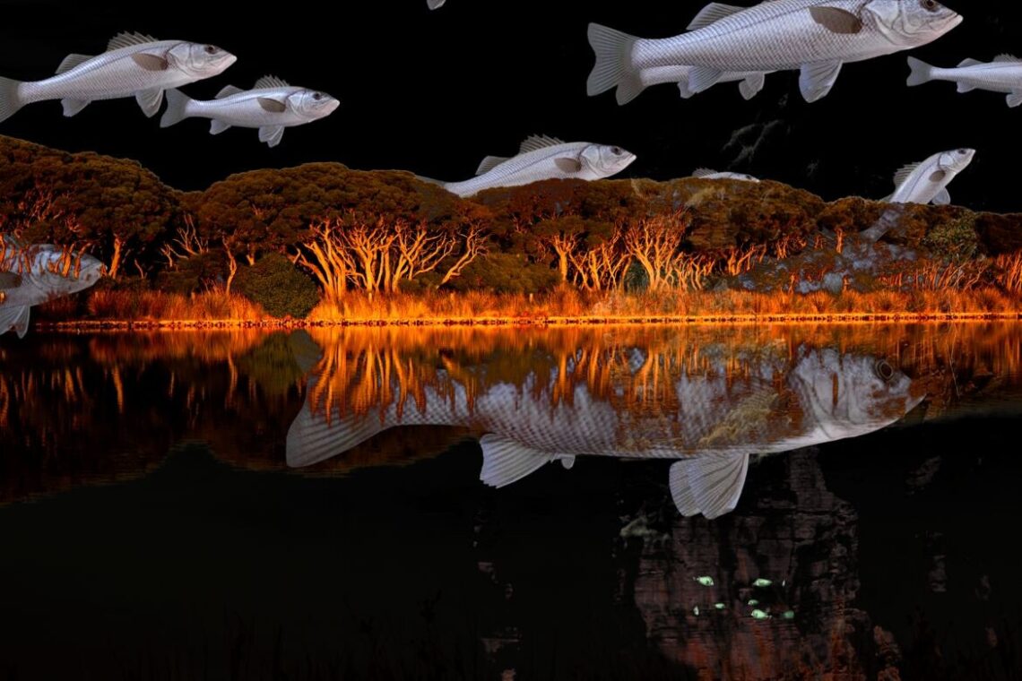 Environmental Art & Design Prize Exhibition 2023 | IndesignLive