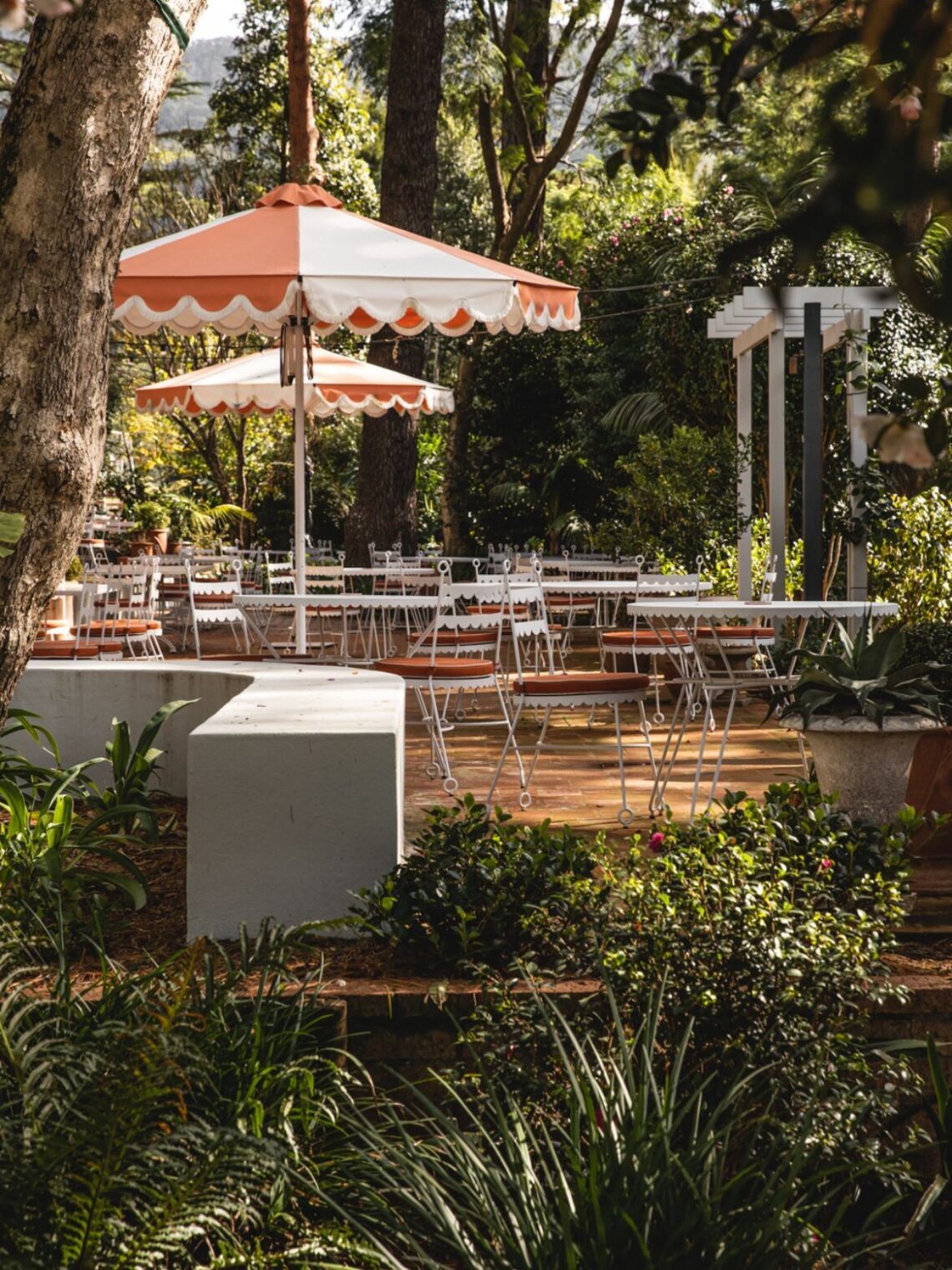 Studio Barbara - Lulu’s and Finn’s Bar at The Lodge | IndesignLive