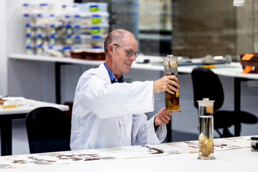 Laboratory chic - 8 futuristic lab designs | IndesignLive