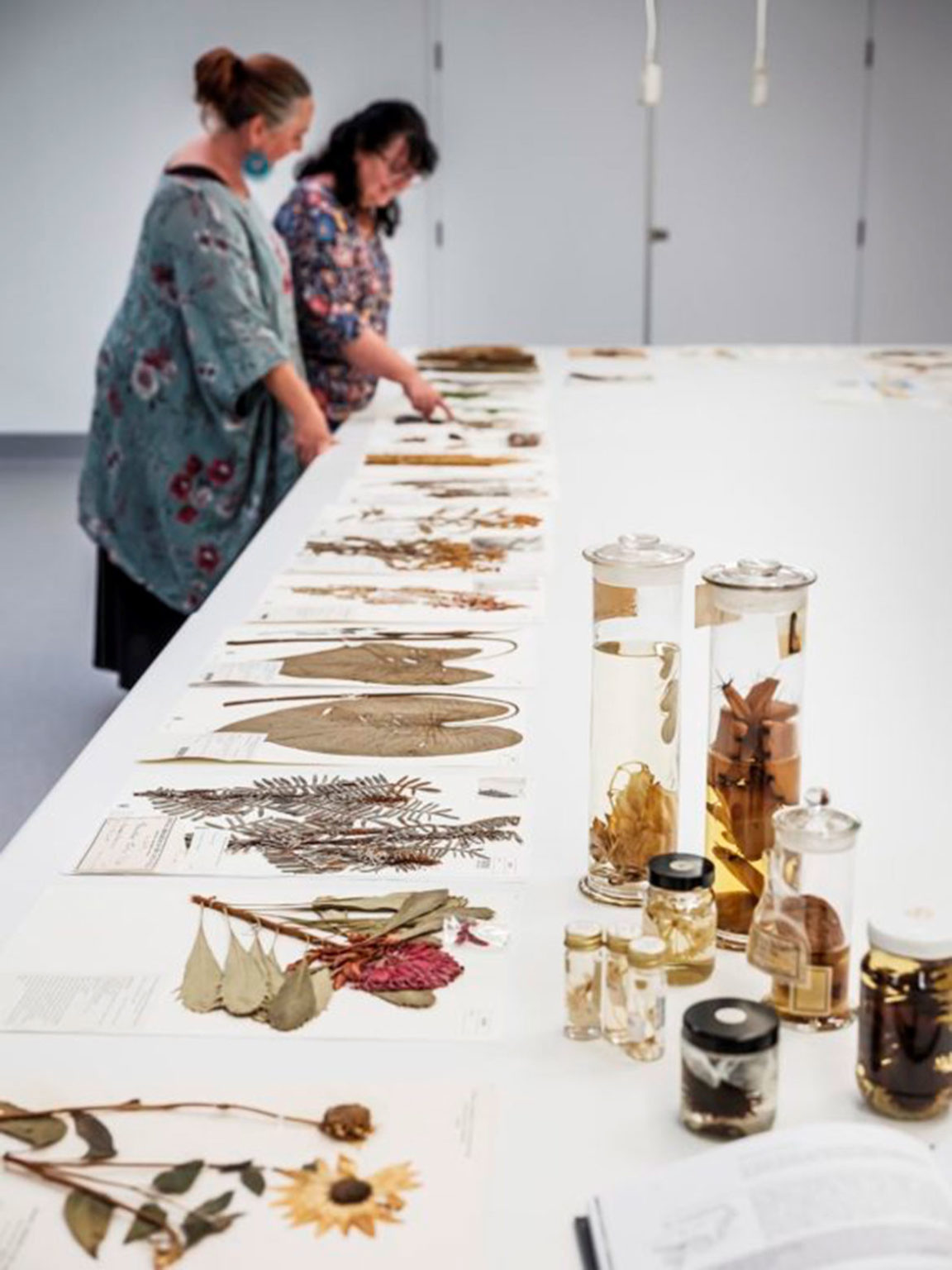 Laboratory chic - 8 futuristic lab designs | IndesignLive