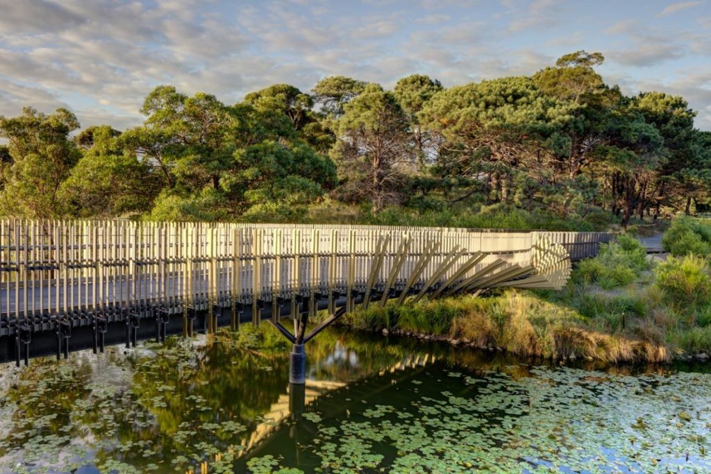 Sam Crawford Architects - Bara Bridge | IndesignLive
