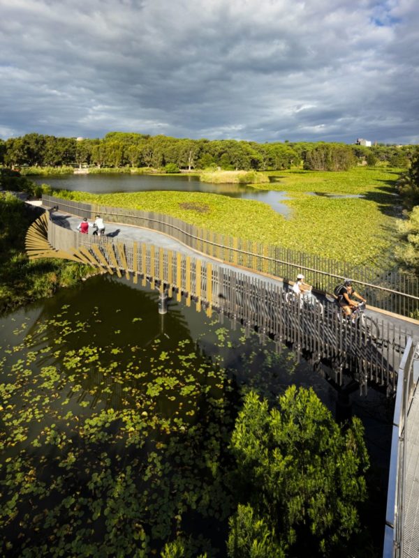 Sam Crawford Architects - Bara Bridge | IndesignLive