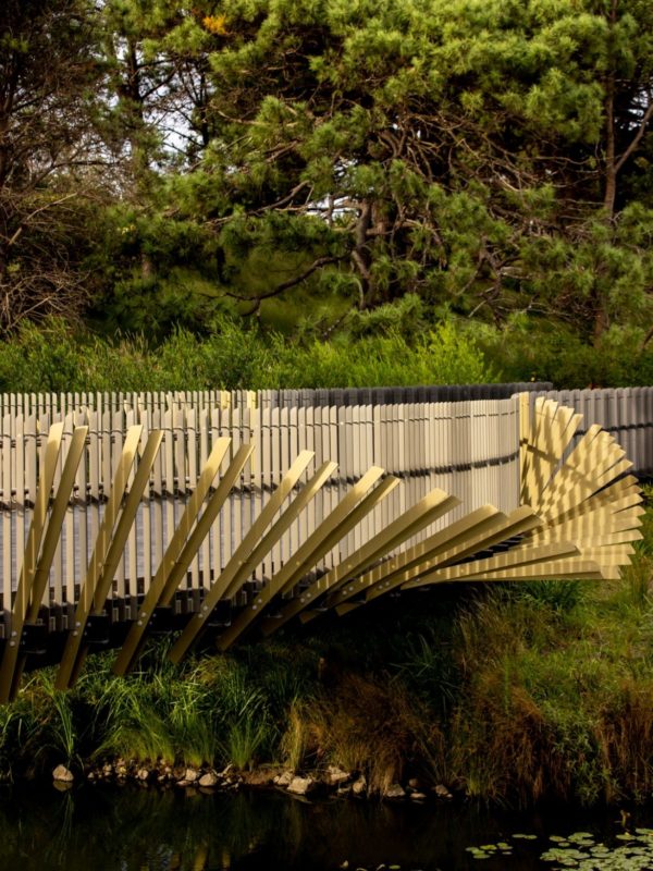 Sam Crawford Architects - Bara Bridge | IndesignLive