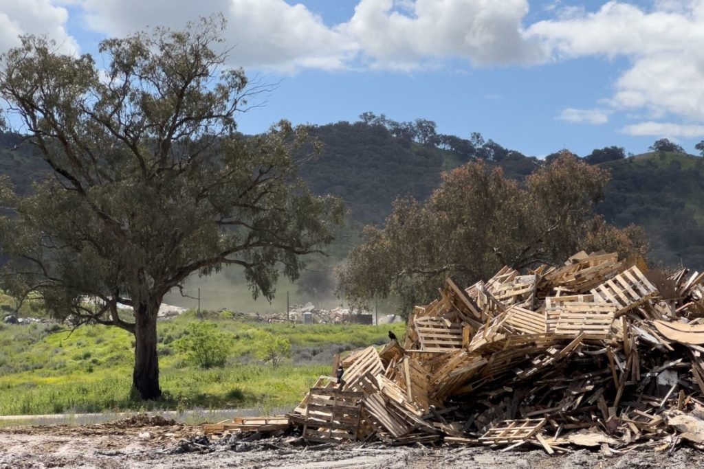 Studio Chris Fox - Albury Summer Pavilion | IndesignLive