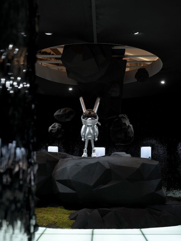 Rabbit in space: Welcome to the ROBBiverse | IndesignLive