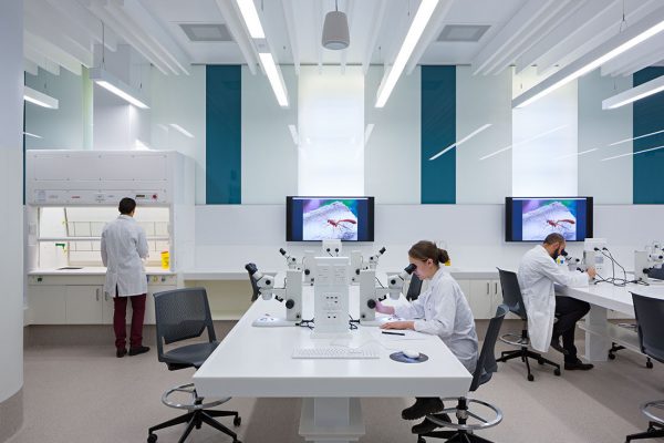 Illuminating space with KLIK Systems | IndesignLive